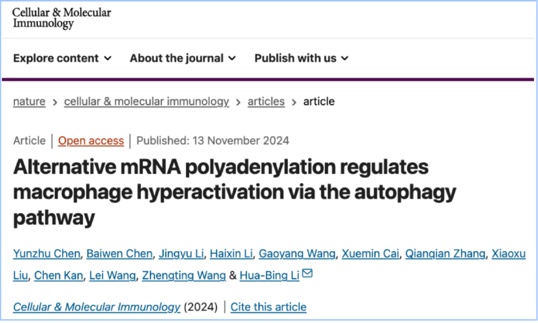 CMI | 免疫所李华兵课题组发现mRNA 3'UTR-APA事件调控巨噬细胞自噬与炎症-上海市免疫学研究所