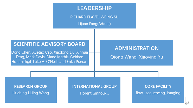 Organization Charts-SJTUSM-Yale Institute for Immune Metabolism