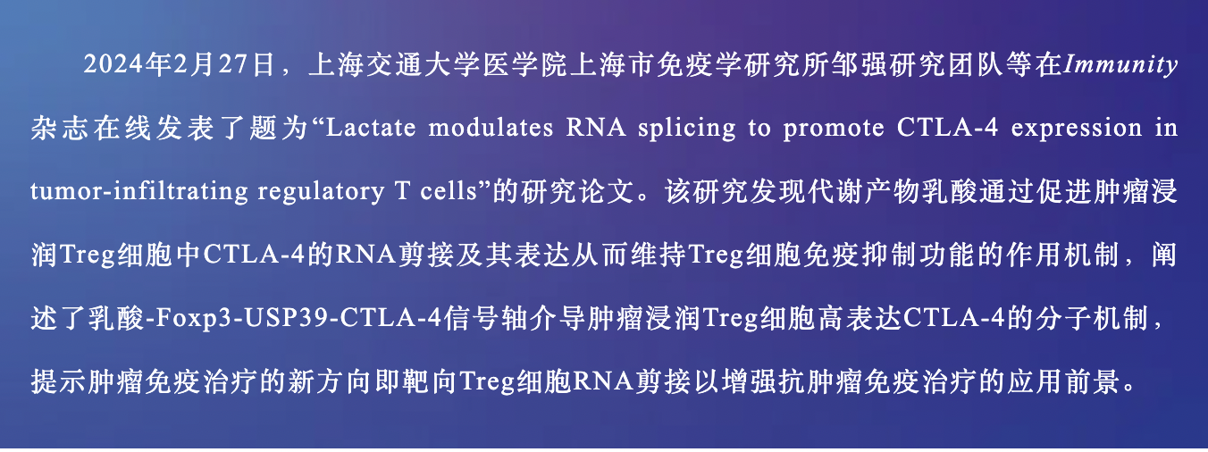 Immunity | 上海市免疫学研究所邹强课题组等揭示乳酸介导CTLA-4的RNA剪接以维持Treg细胞免疫抑制功能的机制-上海市免疫学研究所