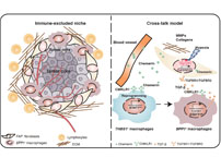 College of Basic Medical Sciences, Shanghai Jiao Tong University