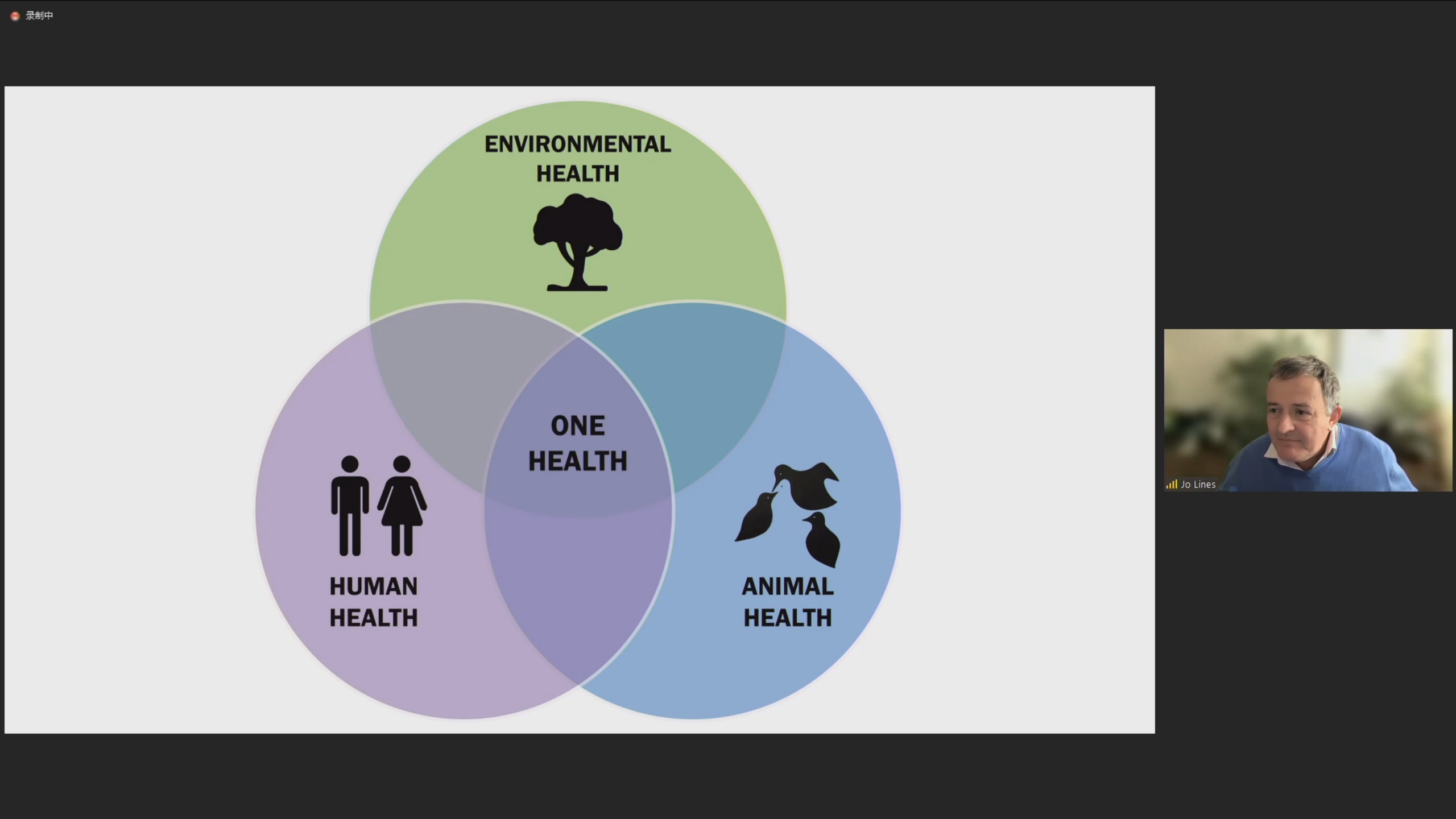 全球健康学院主办2022年第二届中英全健康论坛：One Health for All-全球健康学院