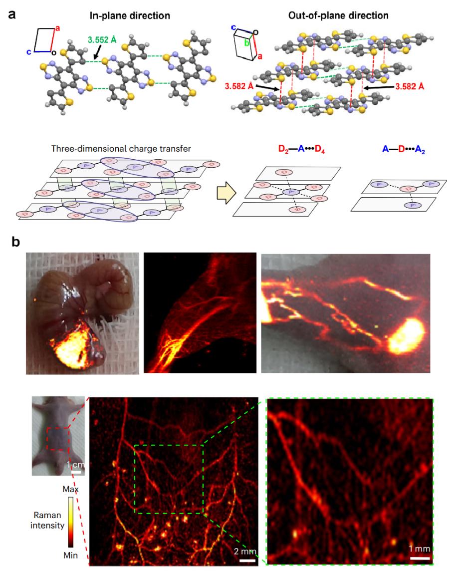 Nat Biotechnol 亮点工作│上海交大医学院肖泽宇教授团队合作揭示小分子不依赖基底增强、仅通过自身堆叠实现高灵敏的活体拉曼成像-上海 ...